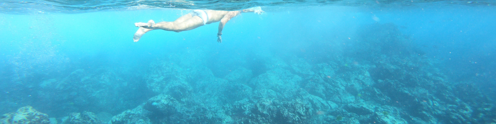 Big Island Hawaii, United States | SwimTrek