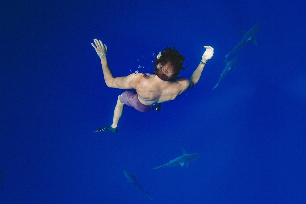 Big Island Hawaii, United States | SwimTrek