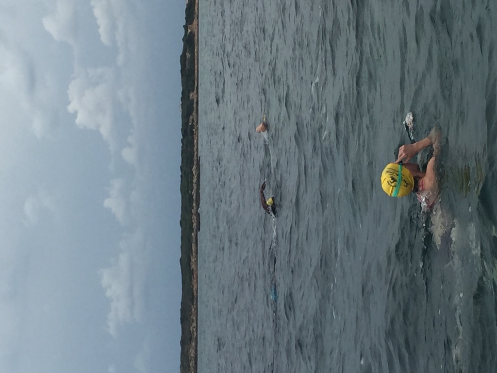 Introduction to Open Water - Mallorca Photos | SwimTrek