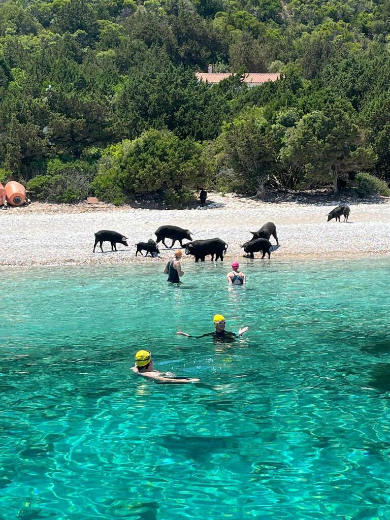 ithaca greece holidays